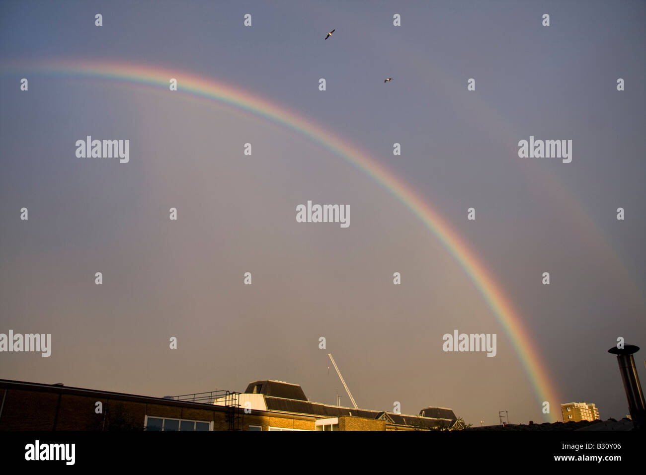 Perfect rainbow over the city Stock Photo - Alamy