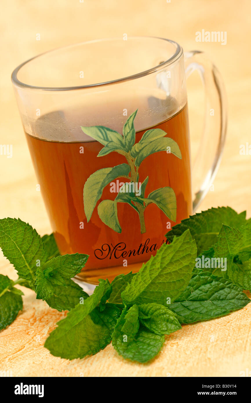 Peppermint flavour flavor hi-res stock photography and images - Alamy