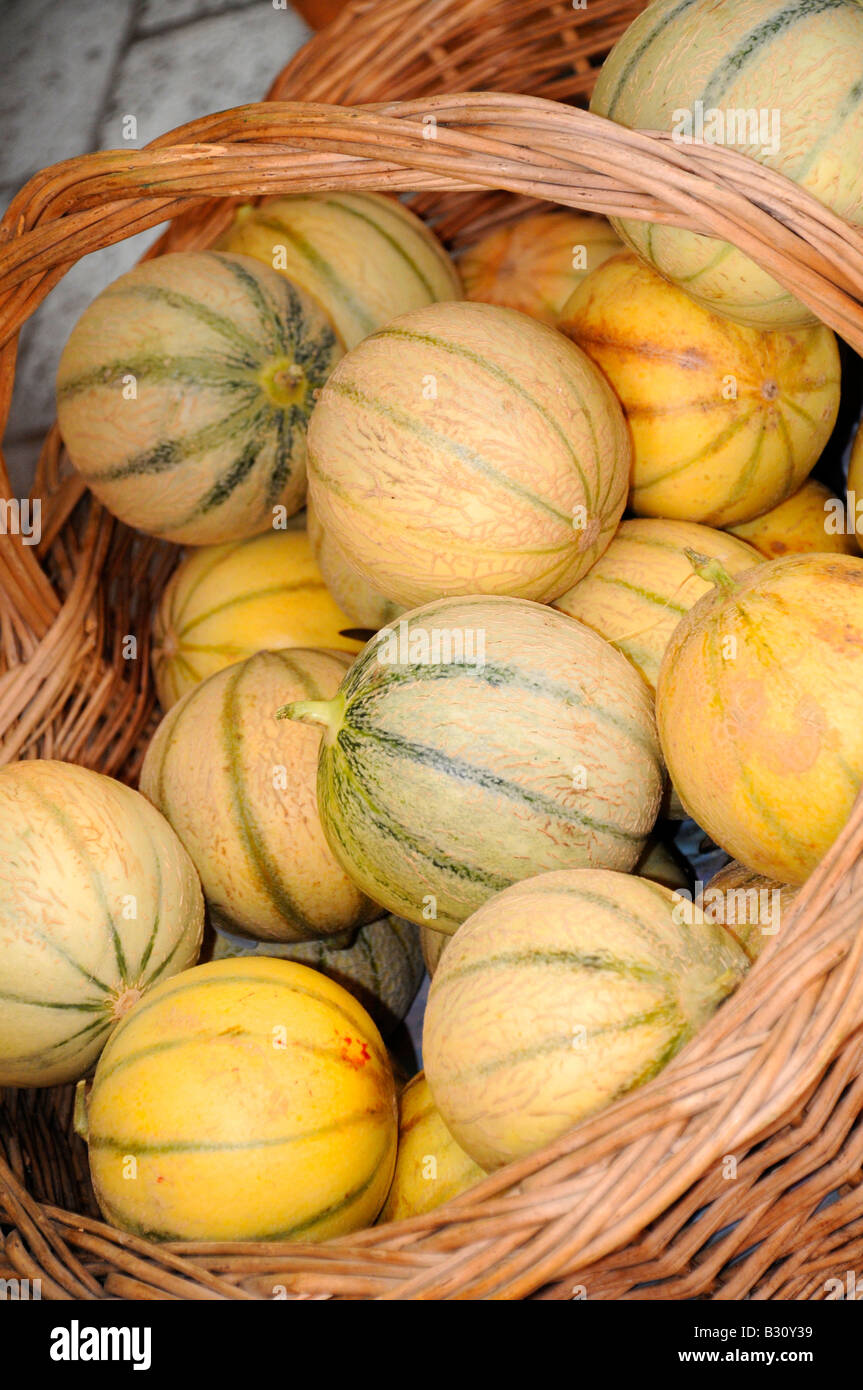 BASKET OF MELONS Stock Photo - Alamy