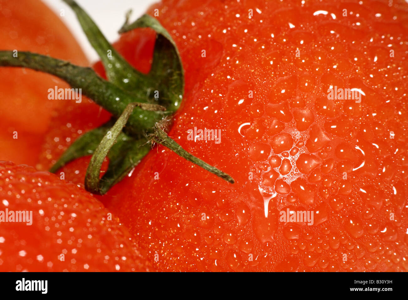 Super Close Up of Tomato Skins with Water Drops Stock Photo - Alamy