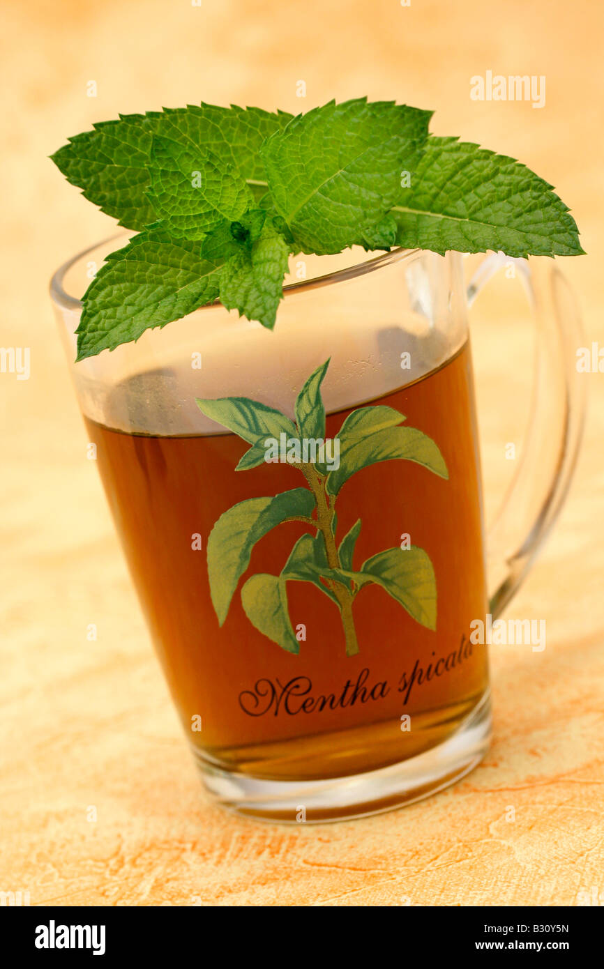 Peppermint flavour flavor hi-res stock photography and images - Alamy