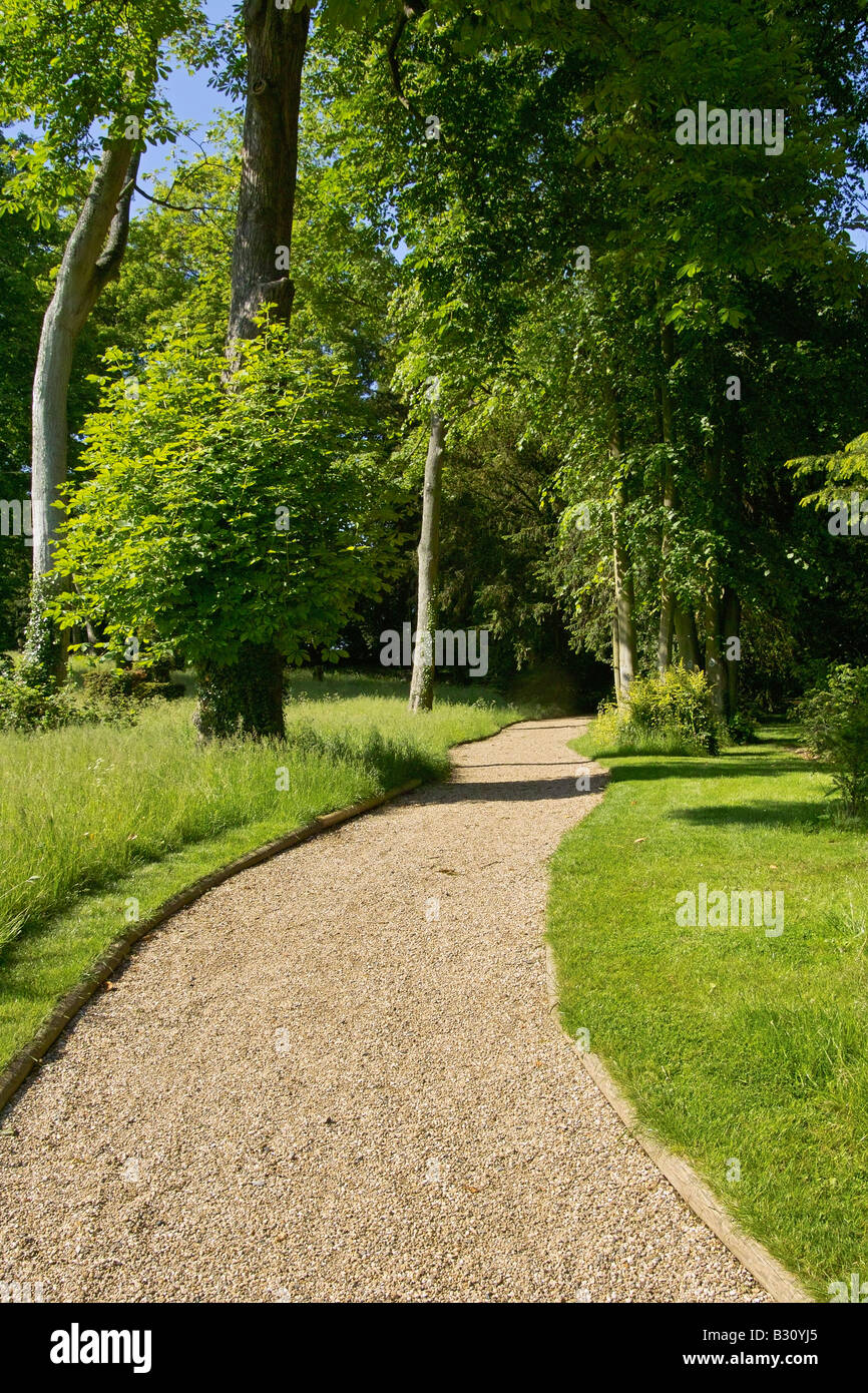 footpath through woodland between trees Stock Photo - Alamy