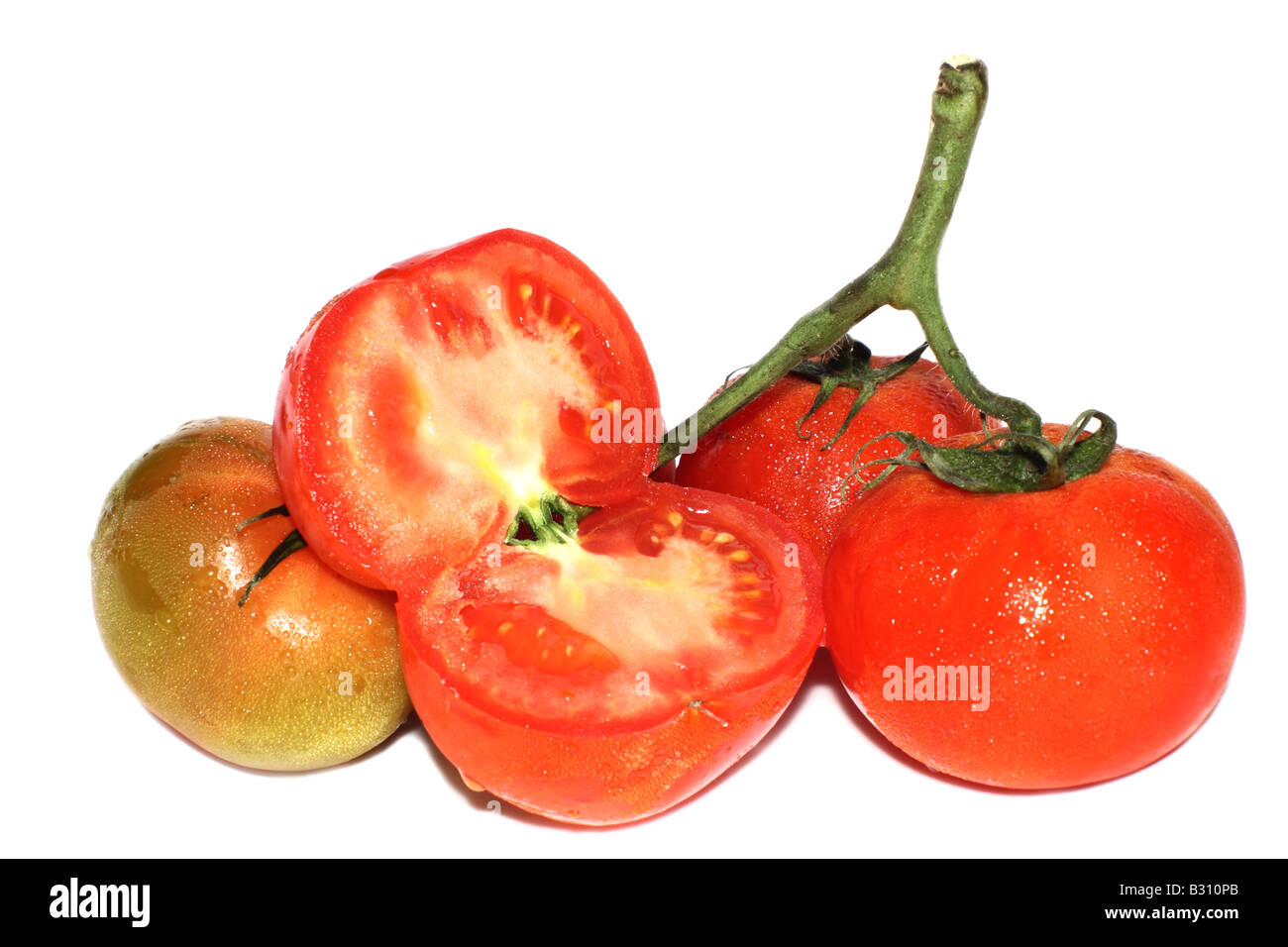 The vine of the earth hi-res stock photography and images - Alamy