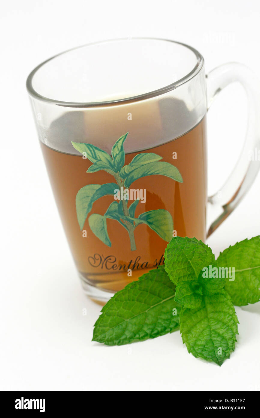 Peppermint flavour flavor hi-res stock photography and images - Alamy