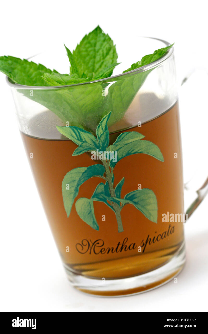 Peppermint tea cut out hi-res stock photography and images - Alamy