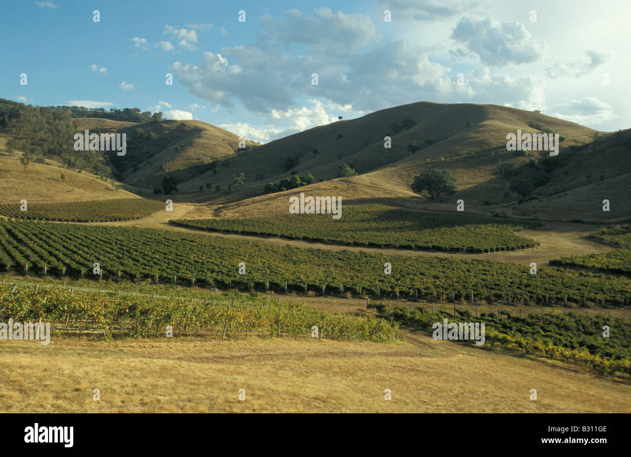 Mudgee New South Wales Stock Photos & Mudgee New South Wales Stock ...