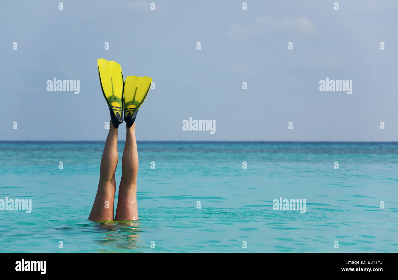 diving at vacation Stock Photo - Alamy