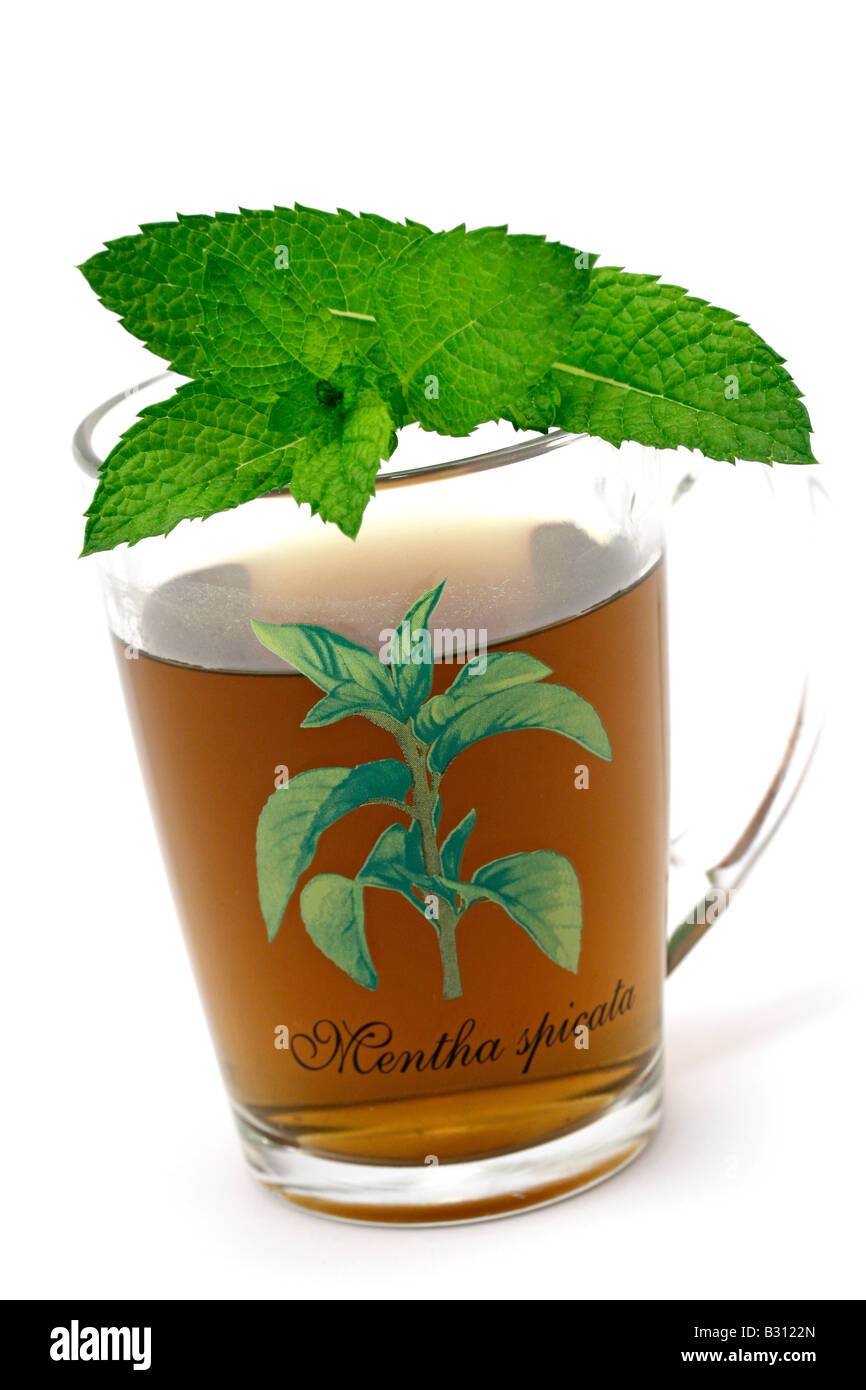 Closeup shot fresh tea Cut Out Stock Images & Pictures - Alamy
