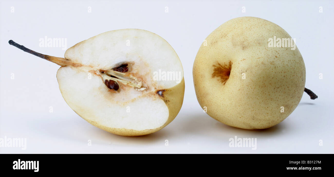 Pyrus pyrifolia, Shinseiki Asian pear, Asian pear Stock Photo - Alamy