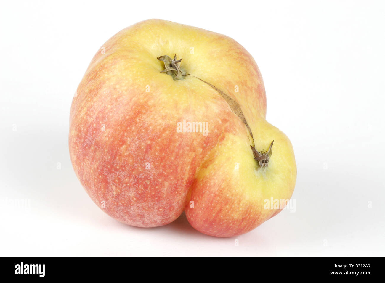 Apple Tree Abnormalities High Resolution Stock Photography and Images ...