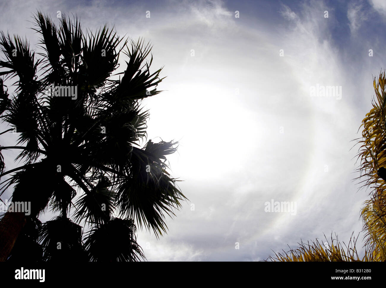 Halo, halo effect, halo-effect Stock Photo - Alamy