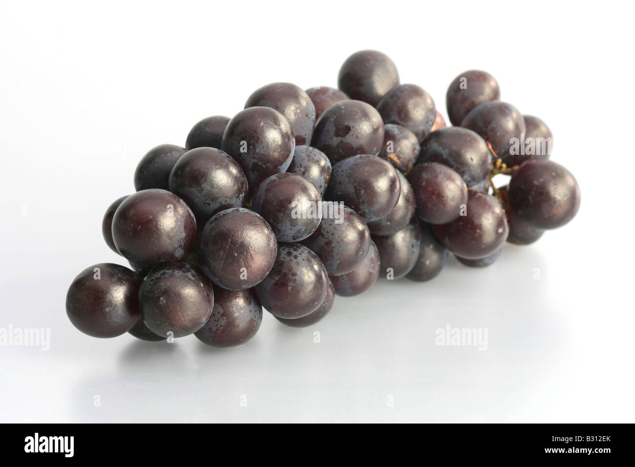 Vitis vinifera, grape-vine, vine Stock Photo - Alamy Vitis vinifera, grape-vine, vine Stock Photo - Alamy