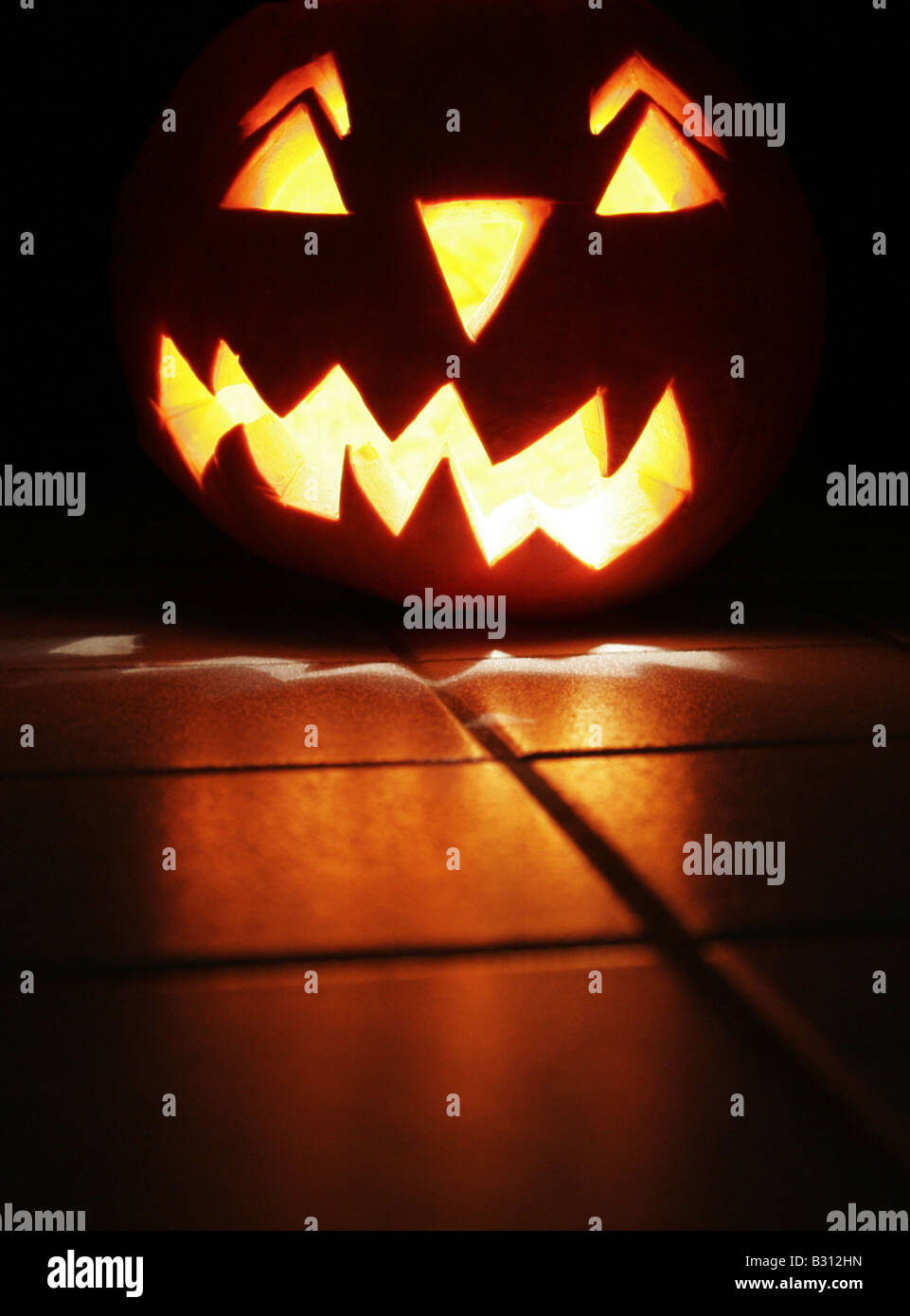 Cucurbita pepo, marrow, field pumpkin Stock Photo - Alamy