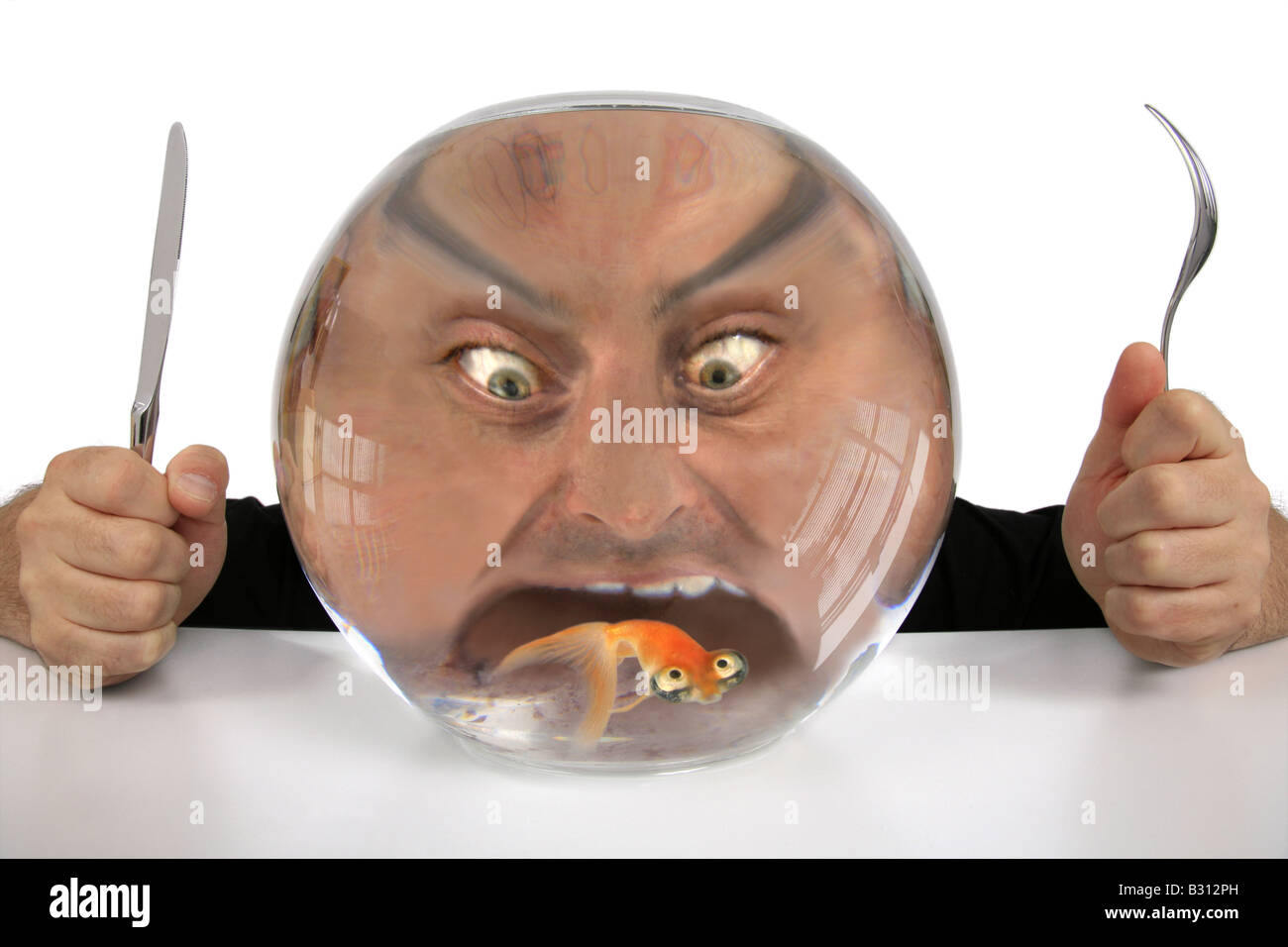 Celestial, Carassius auratus, goldfish, common carp, celestial eye ...