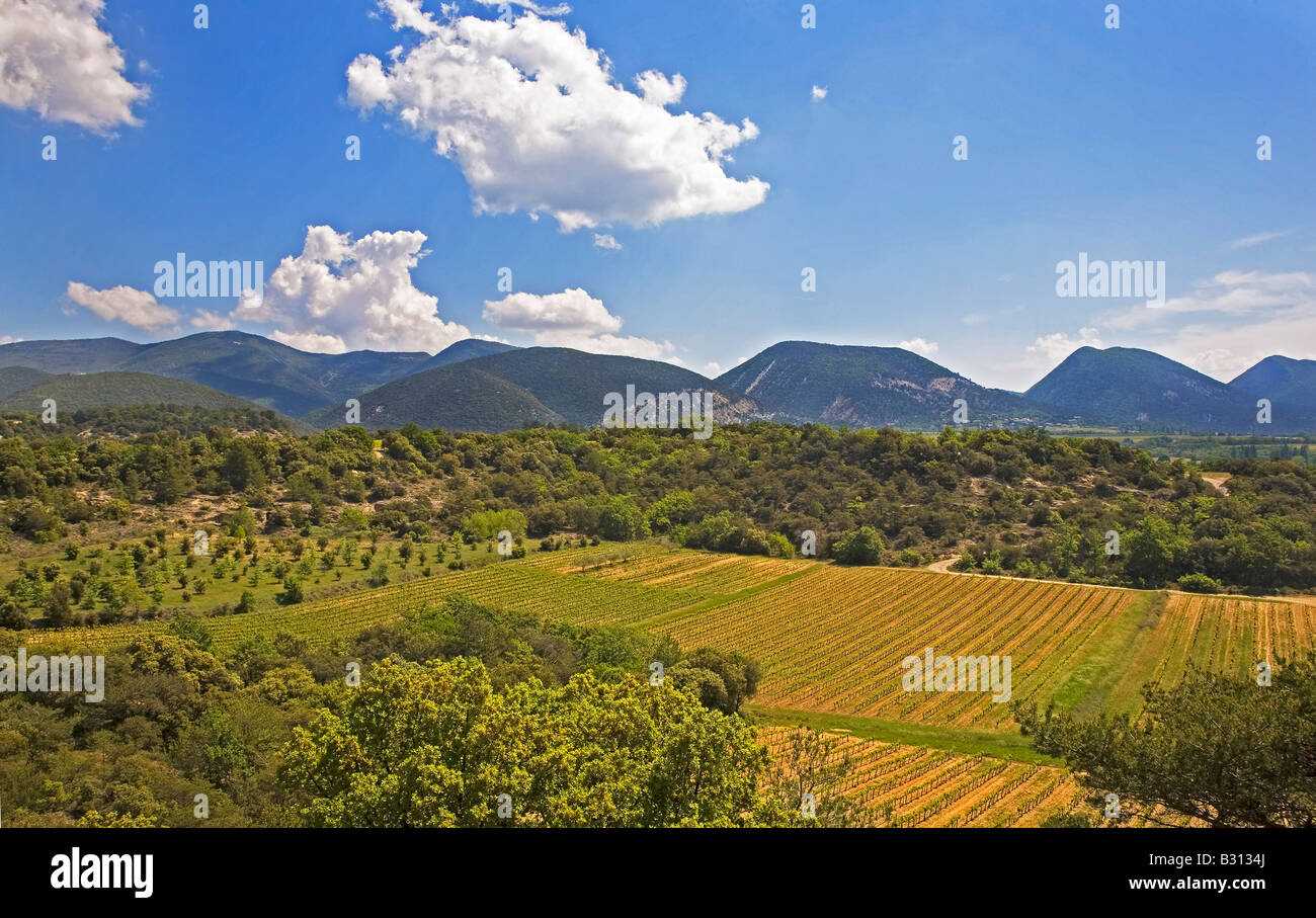 Vineyard Near Rousset des Vignes, Provence, France Stock Photo - Alamy