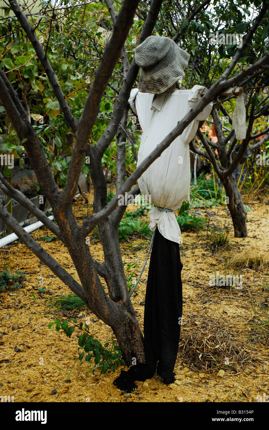 Man and scarecrow hi-res stock photography and images - Alamy