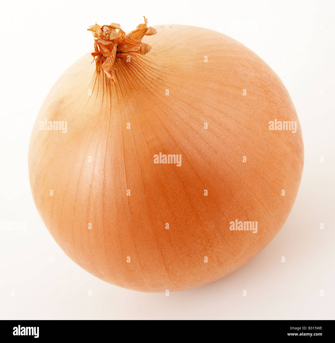 Onion on white background Stock Photo - Alamy