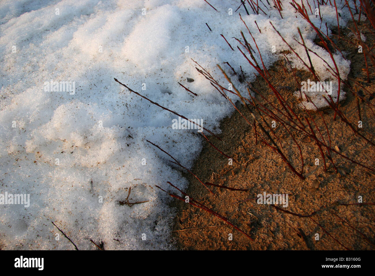 Melting and receding snow in Spring Stock Photo - Alamy