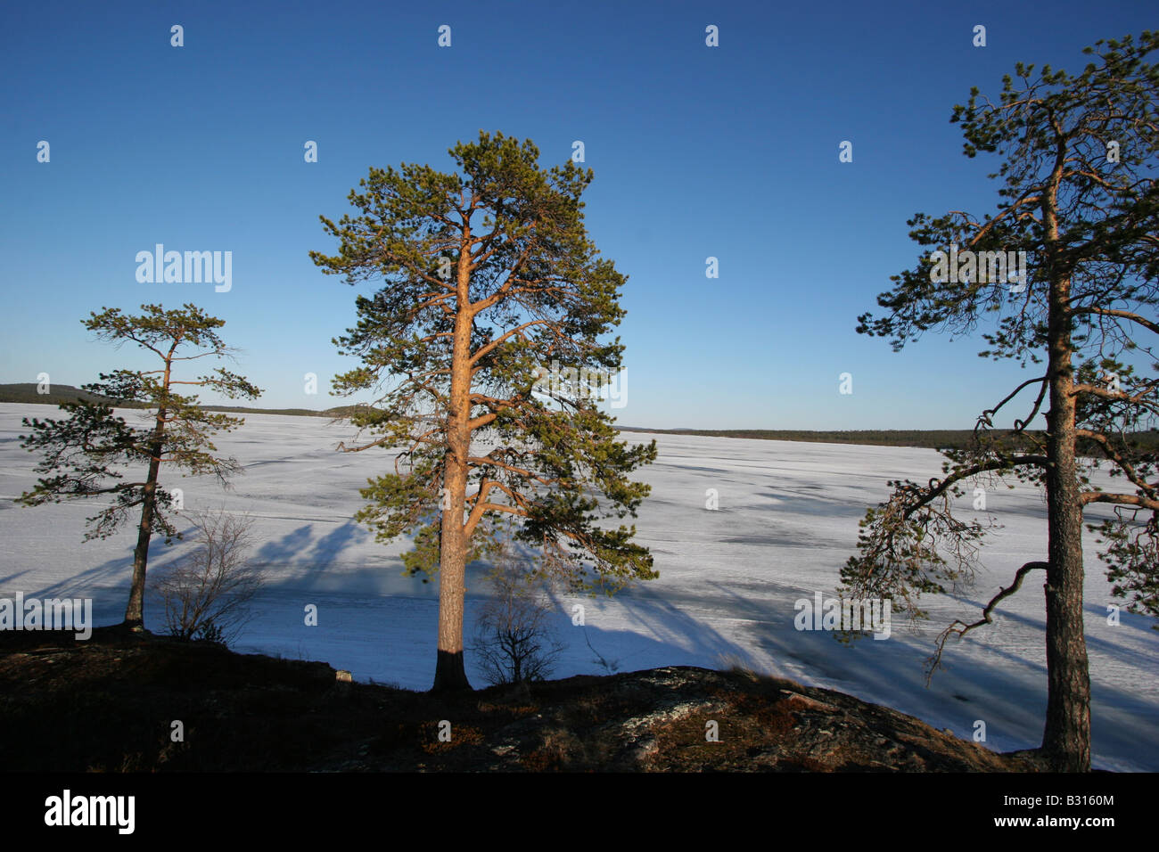 View of a frozen lake in northern Finland from an Island through the ...
