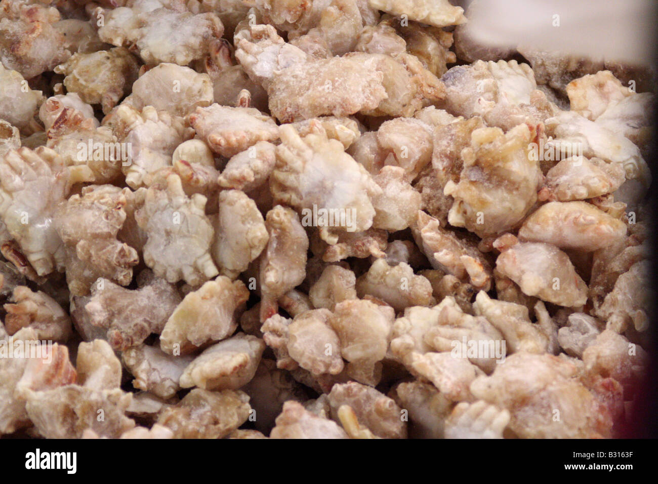 Some weird frozen Chinese food on display in a Chinese supermarket ...