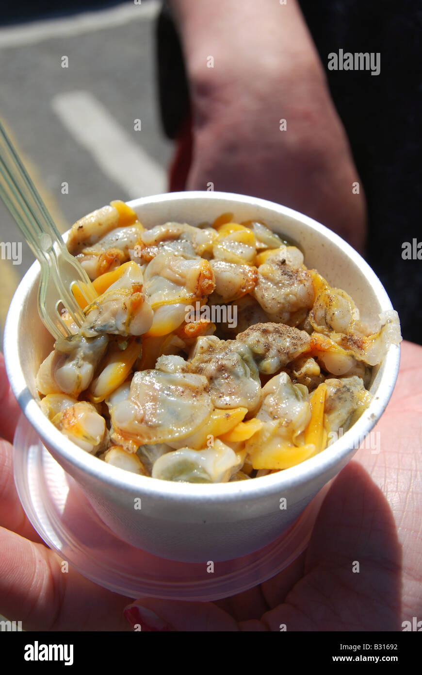 Cockles wales hi-res stock photography and images - Alamy