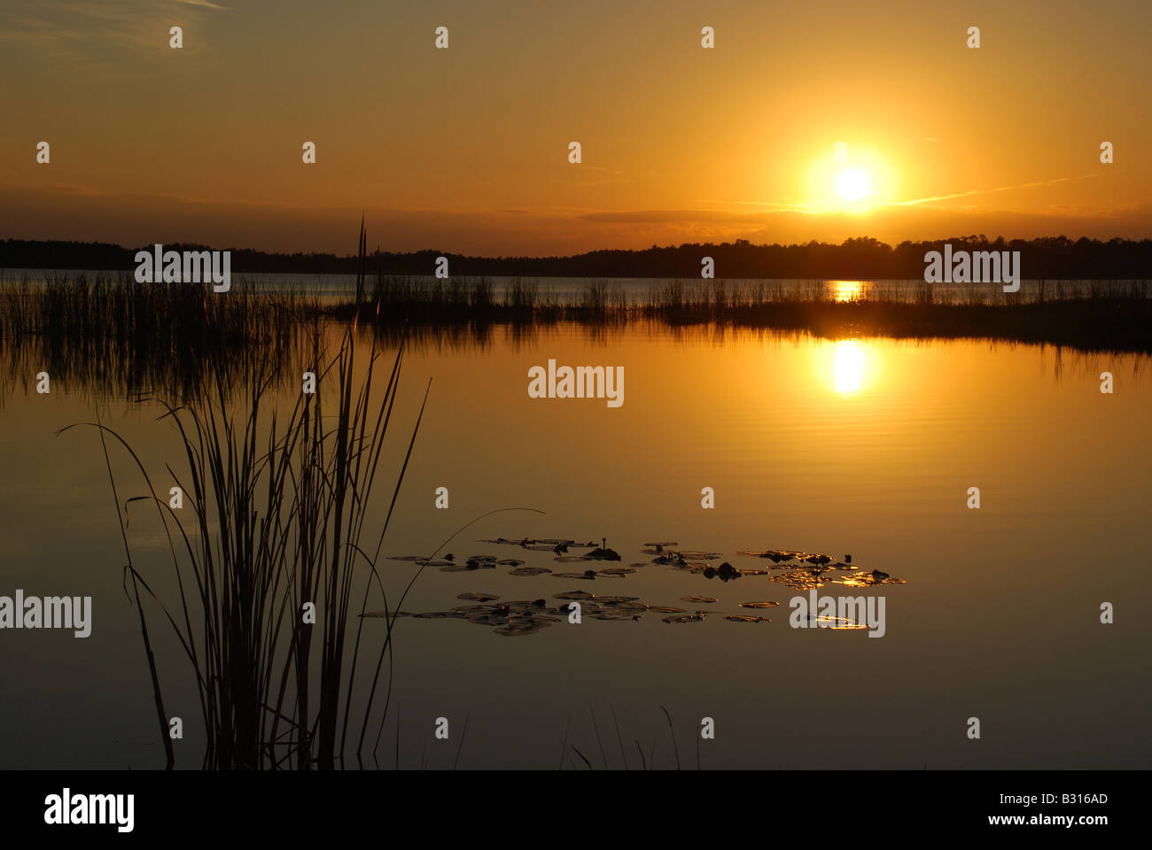 Lake Mary Jane Sunset, Orlando Florida USA Stock Photo - Alamy
