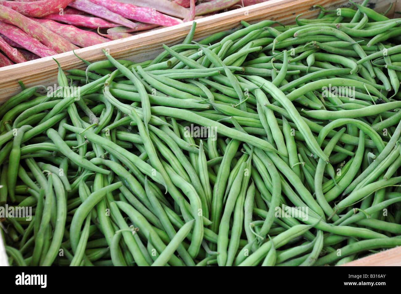 France beans hi-res stock photography and images - Alamy