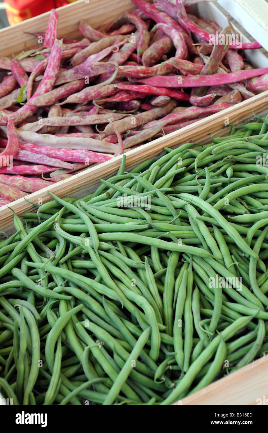 Farmers market beans hi-res stock photography and images - Alamy