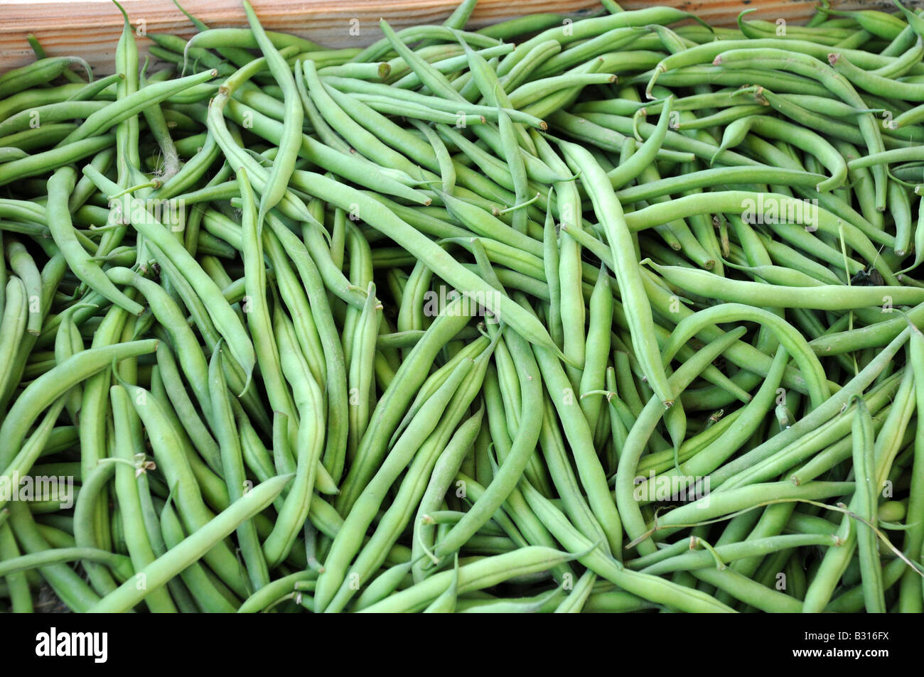 Vegetables and beans hi-res stock photography and images - Alamy
