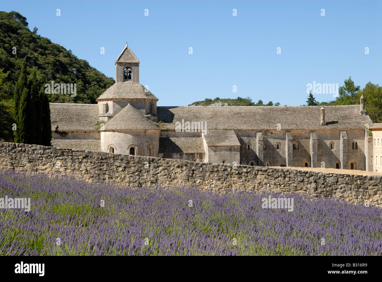 Senanque Abbey in the Provence southern France Stock Photo - Alamy