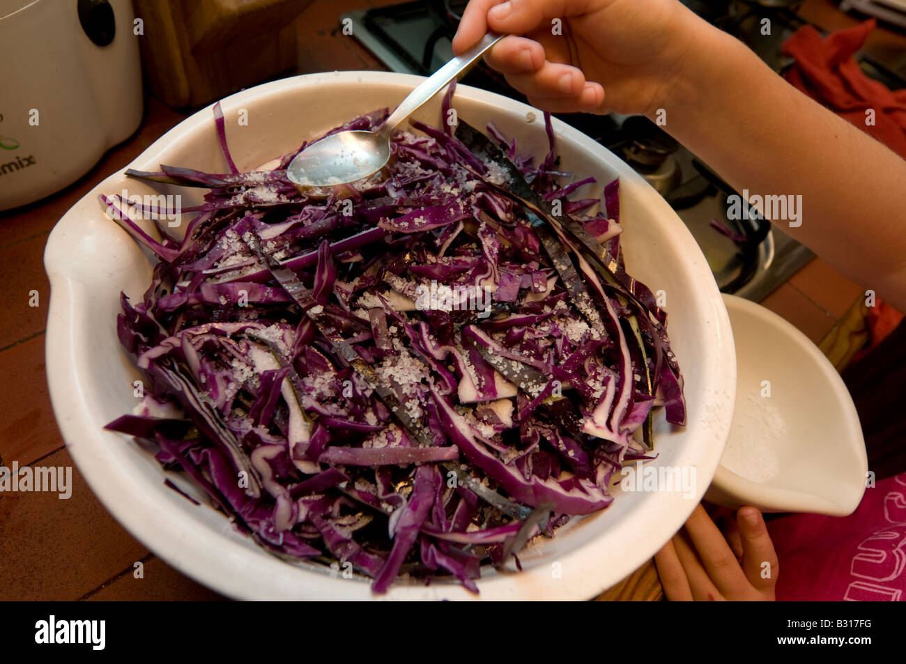 Making home made pickled cabbage: Child sprinkling salt on shredded red ...