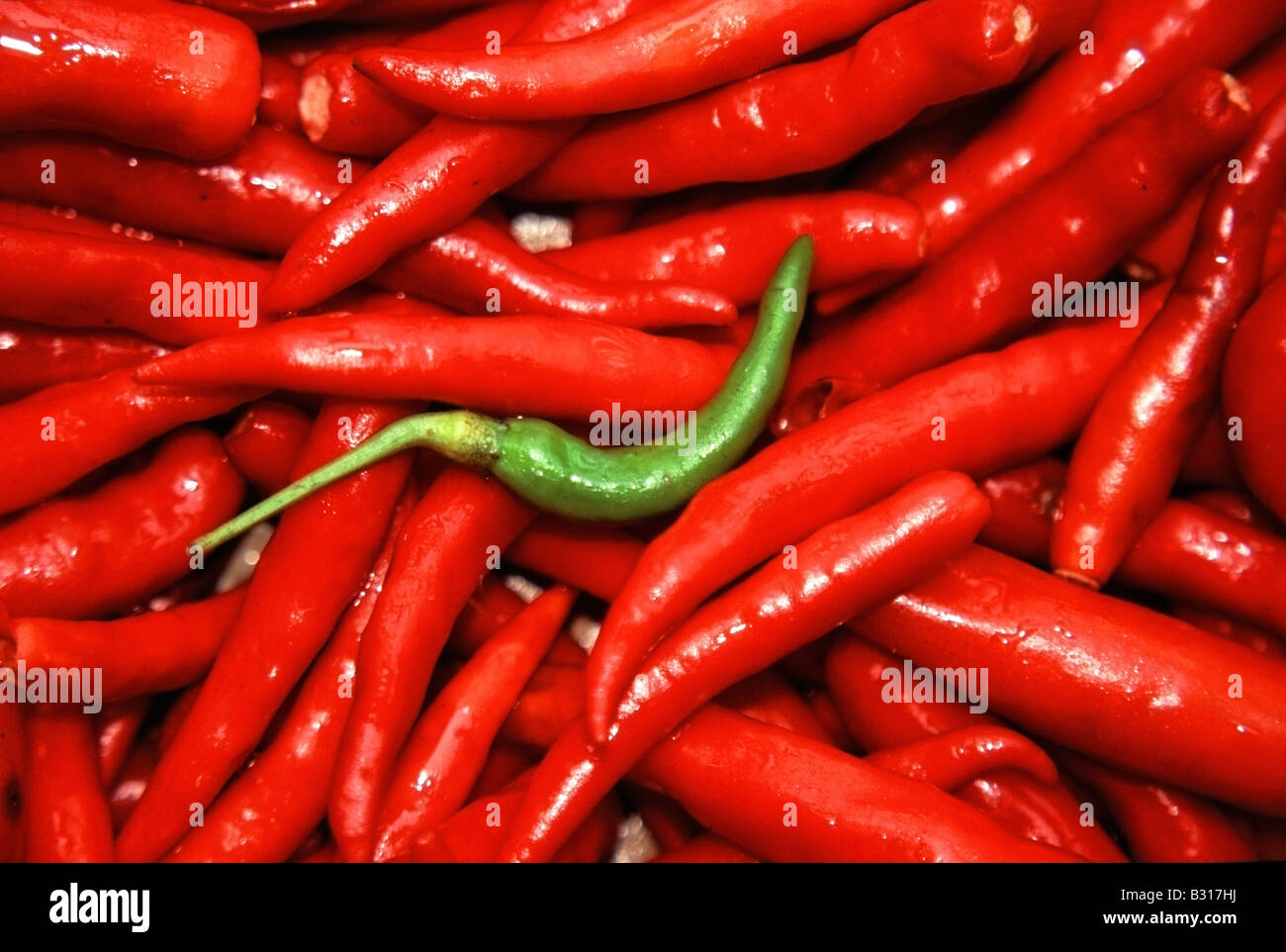 Green Chilli, on Red Chilli Stock Photo - Alamy
