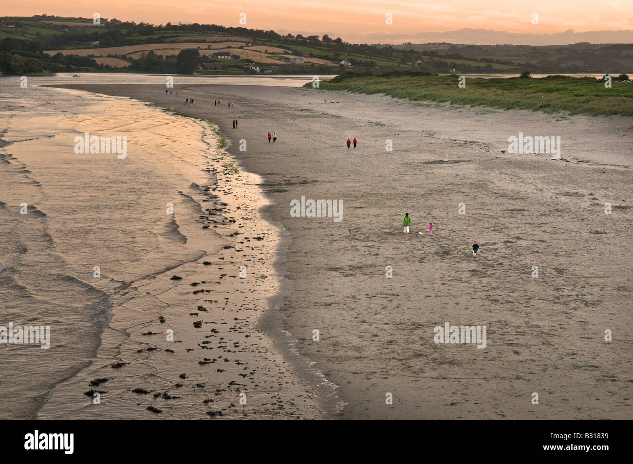 Summer evening, Inchydoney Beach, West Cork, Ireland Stock Photo - Alamy