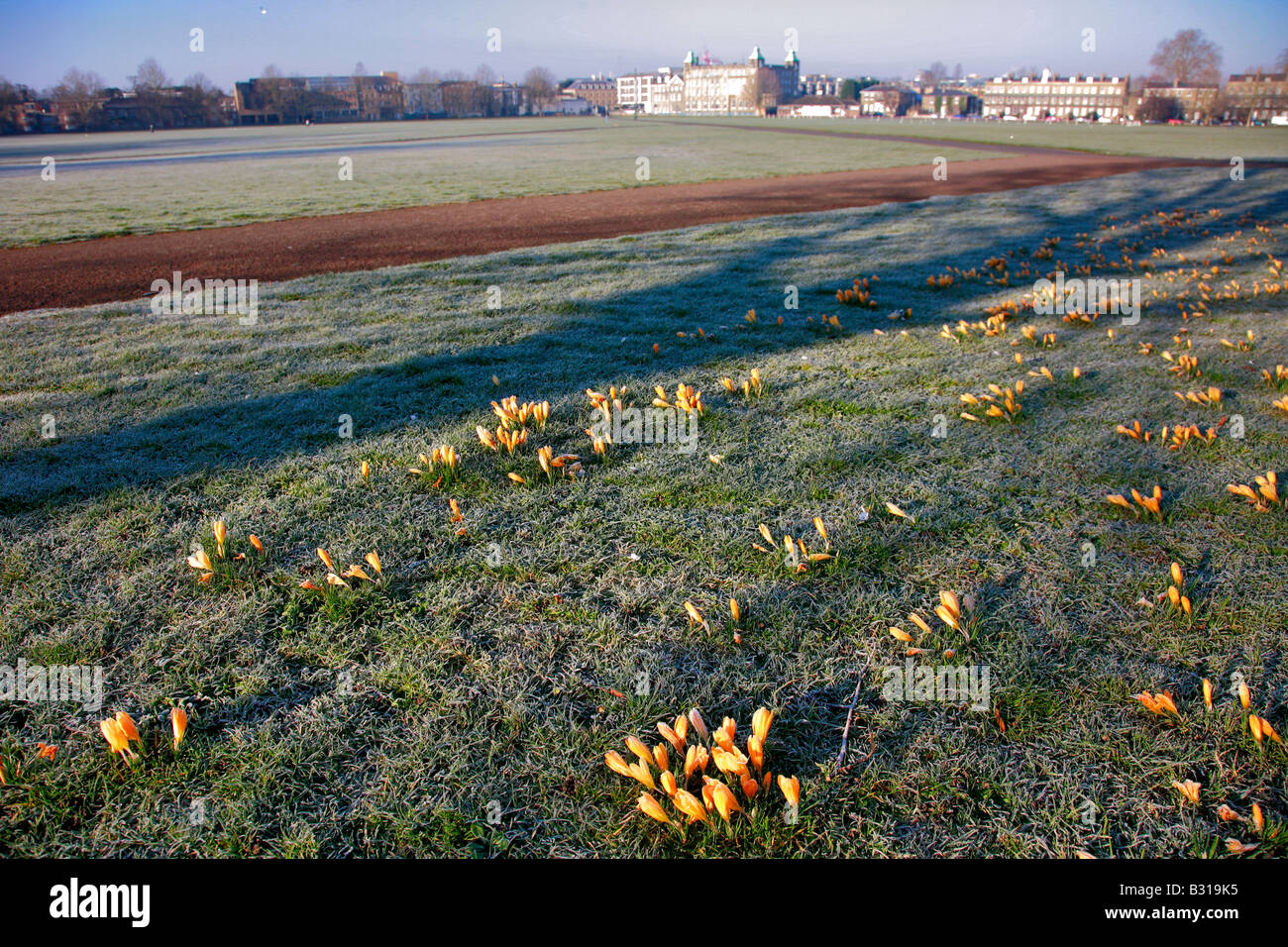 Frosty paths hi-res stock photography and images - Alamy