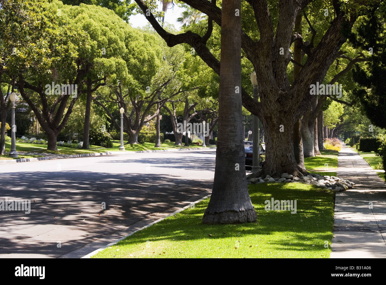 Tree lined road Stock Photo - Alamy