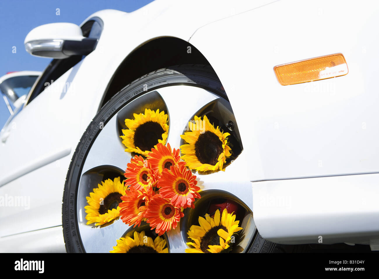 VW GTI with flowers in wheel hubs Stock Photo - Alamy