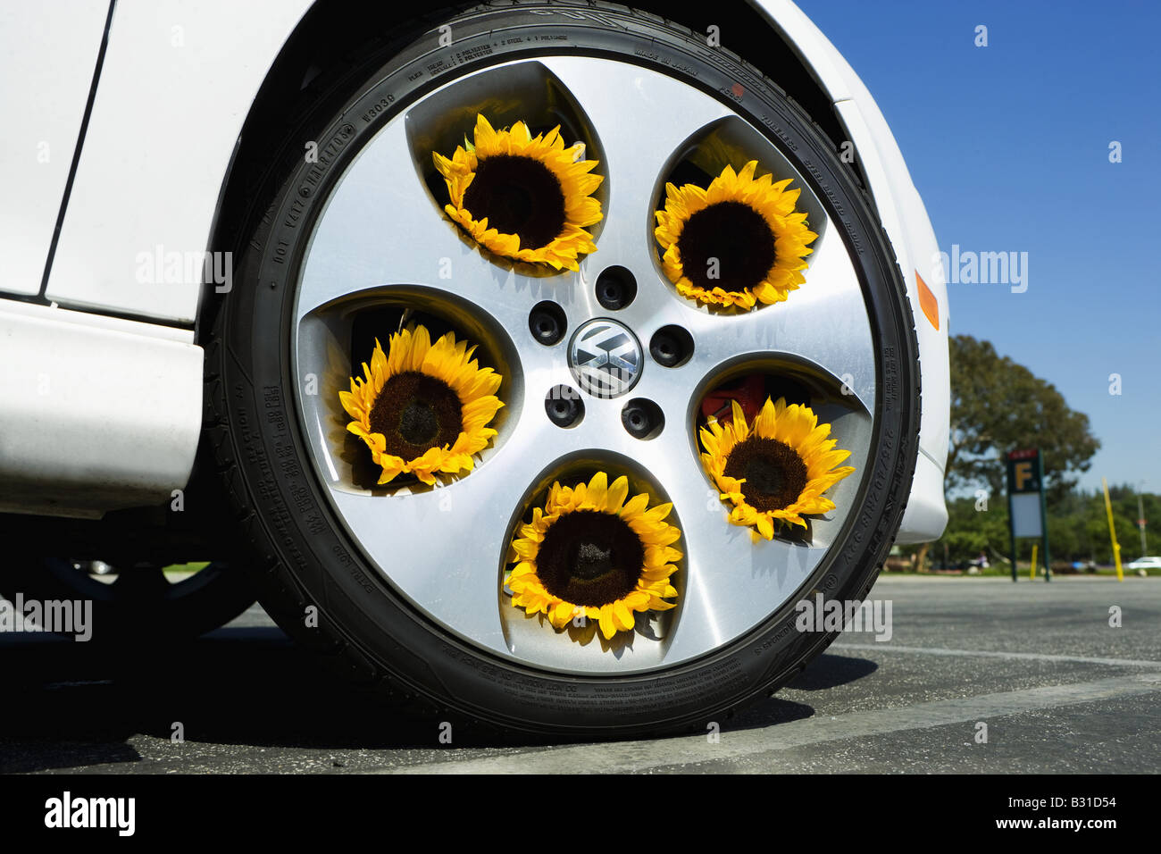 VW GTI with flowers in wheel hubs Stock Photo - Alamy