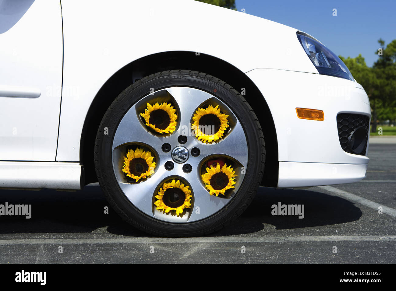 VW GTI with flowers in wheel hubs Stock Photo - Alamy