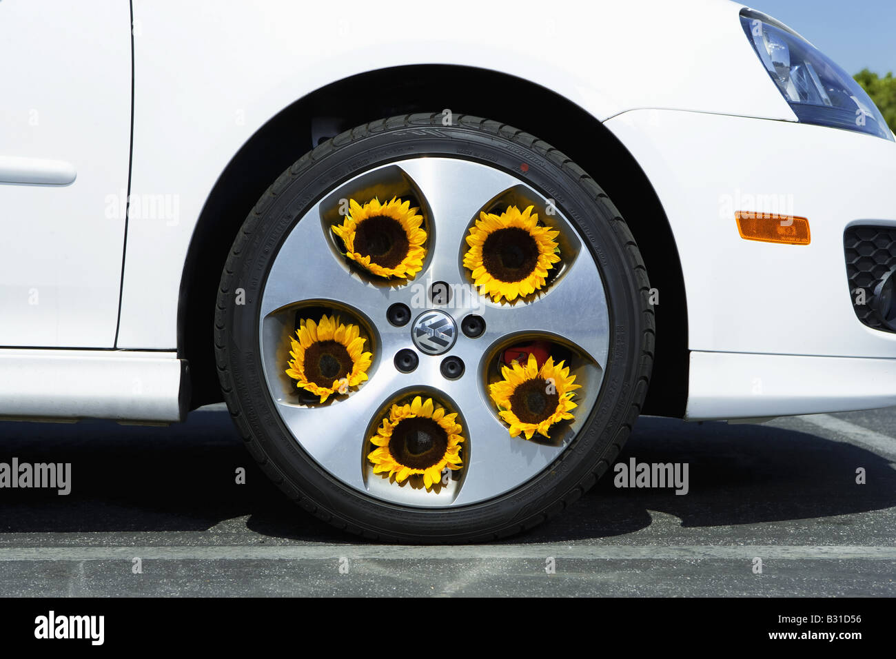 VW GTI with flowers in wheel hubs Stock Photo - Alamy