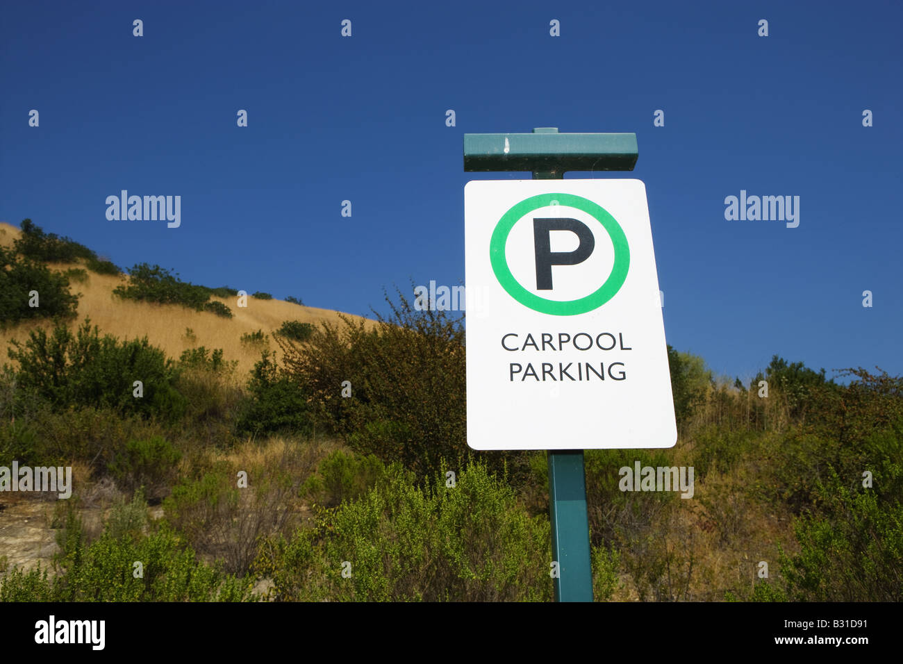 Green Carpool parking sign Stock Photo - Alamy