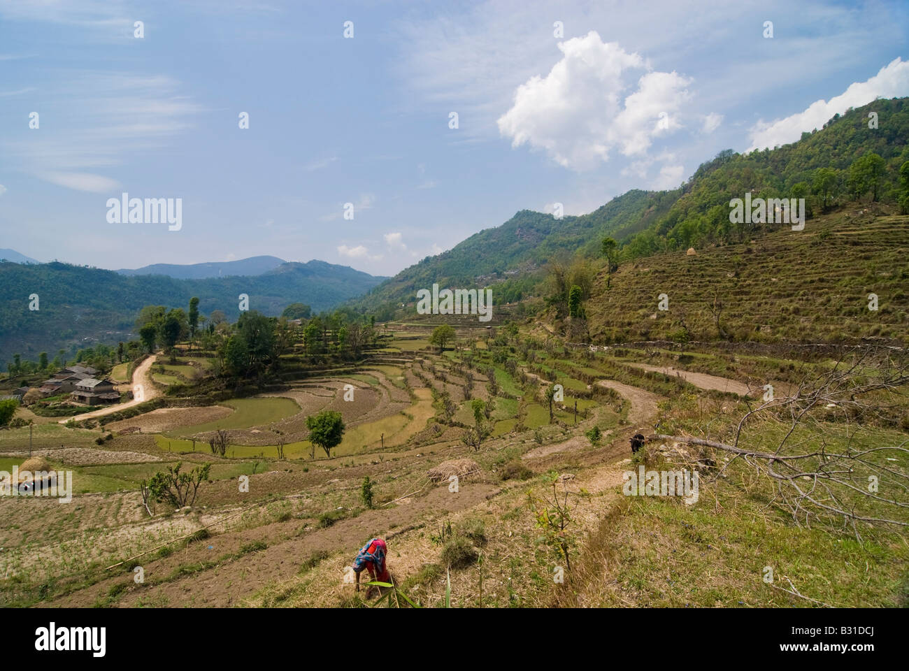 Nepal farming hi-res stock photography and images - Alamy