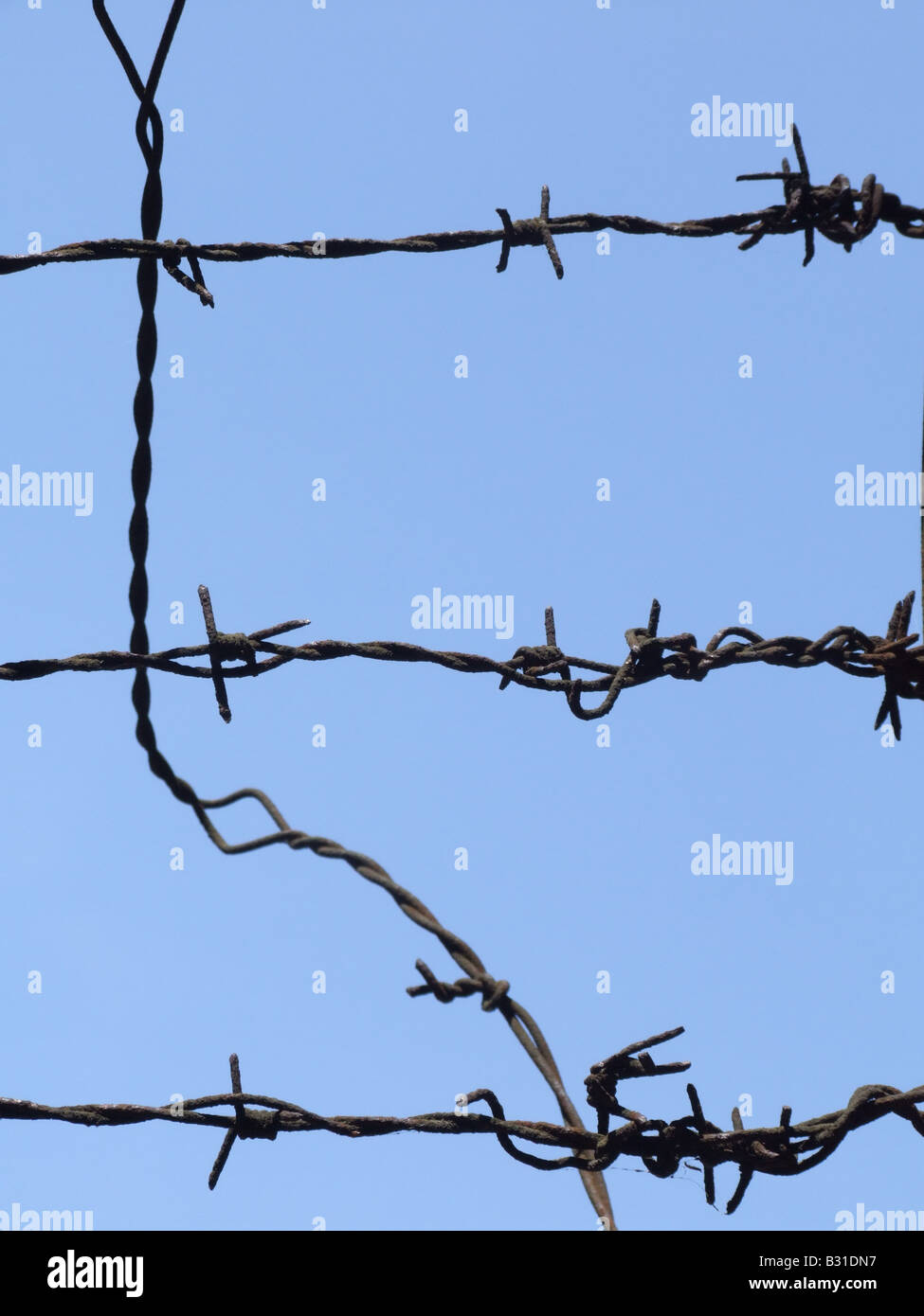 Gate barbed wire night hi-res stock photography and images - Alamy