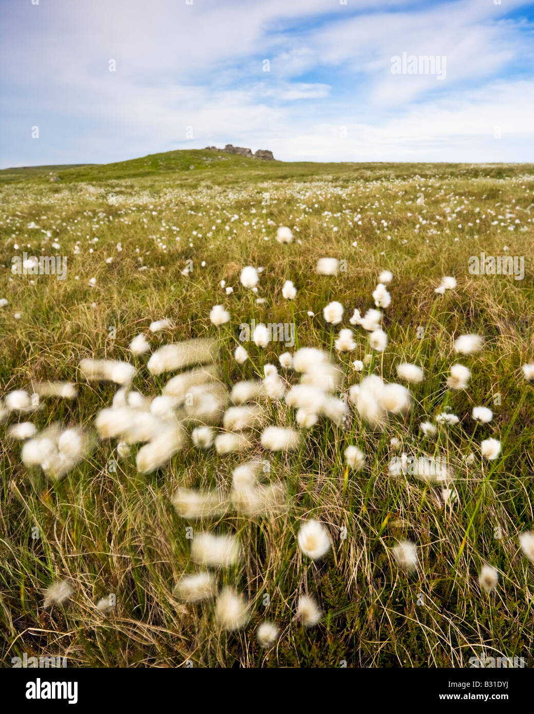 Allen valley hi-res stock photography and images - Alamy