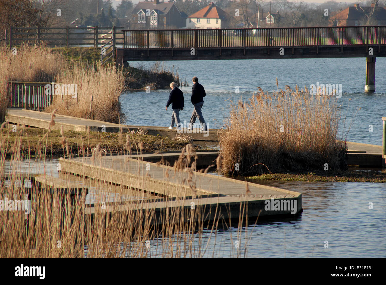 Birdwatching platforms hi-res stock photography and images - Alamy