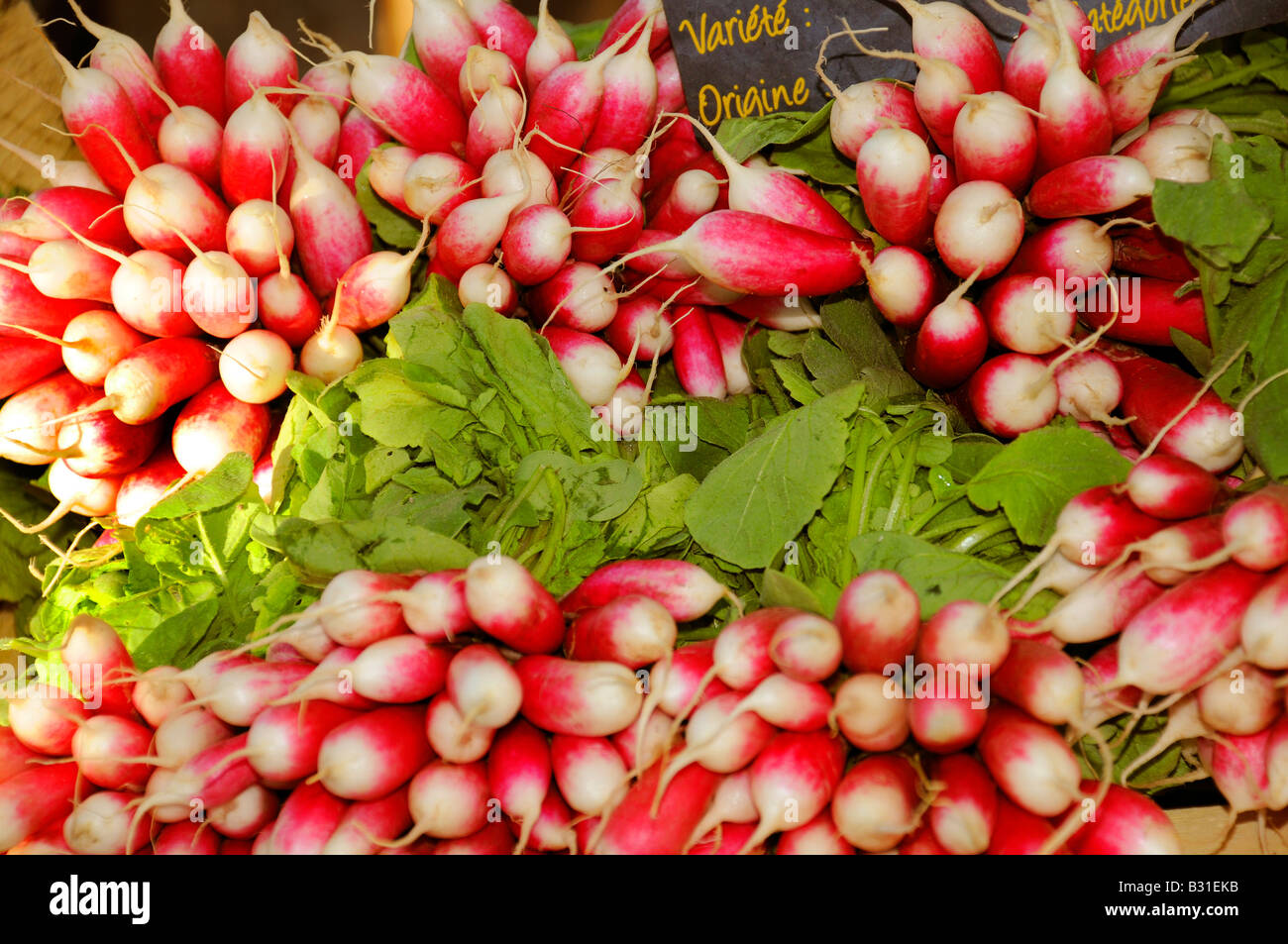 Radish radishes vegetable food hi-res stock photography and images - Alamy