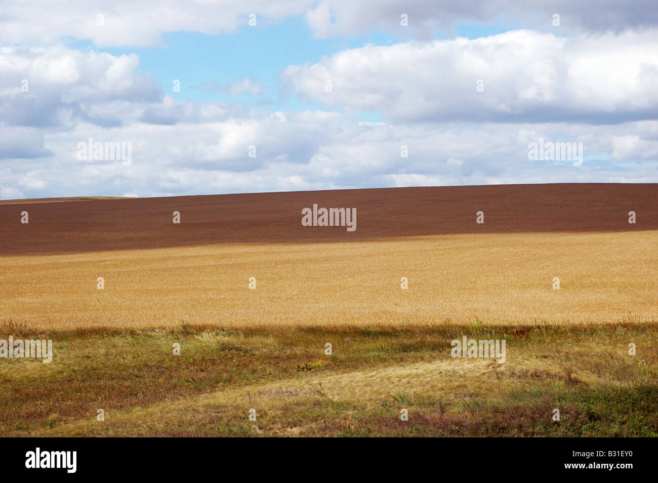 Orenburg hi-res stock photography and images - Alamy