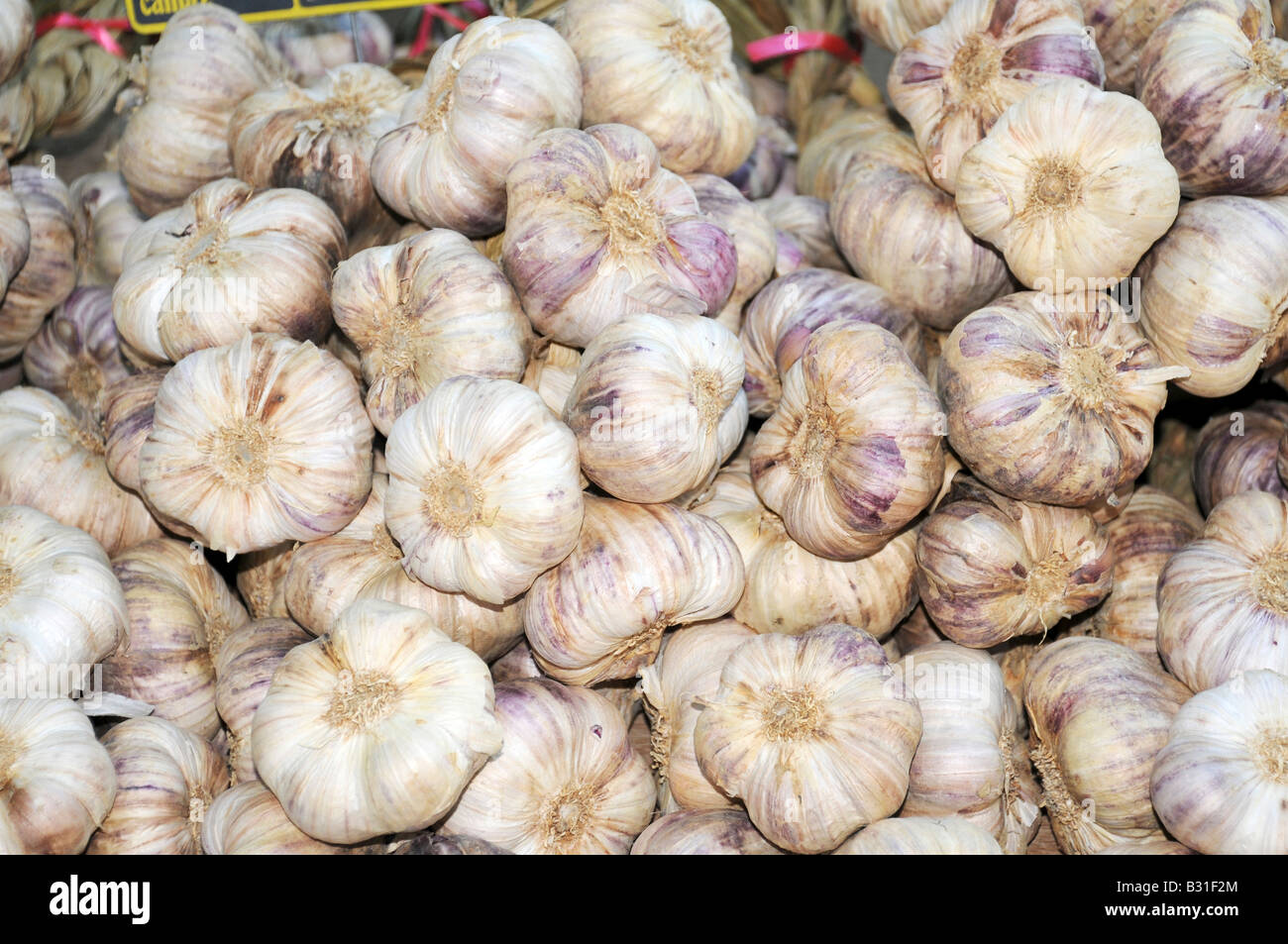 Whole garlic with cloves hi-res stock photography and images - Alamy