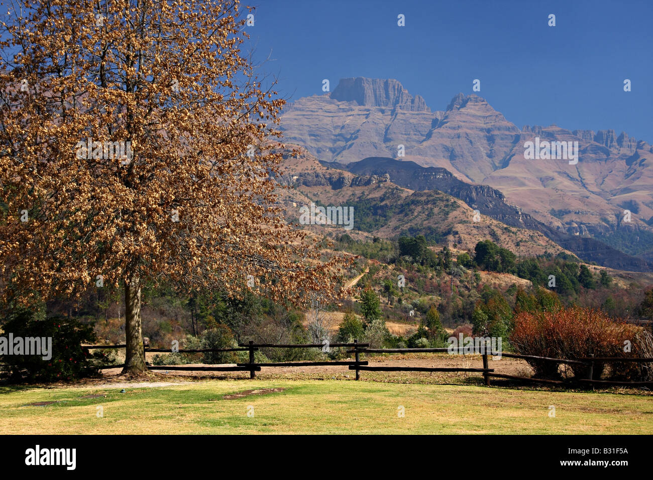 The Drakensberg Champagne Castle in the background. Taken from the ...
