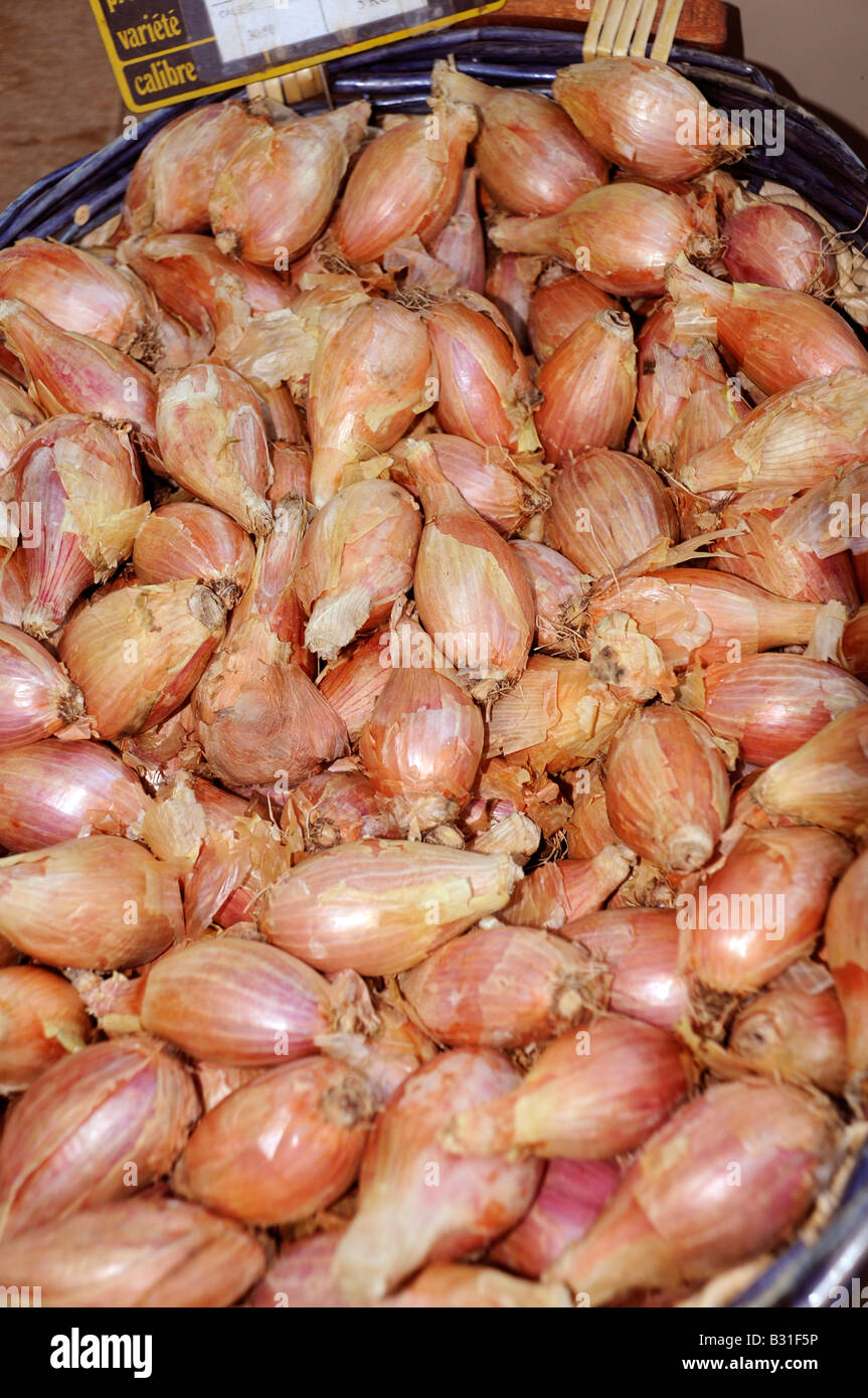 SHALLOTS ON MARKET STALL Stock Photo - Alamy