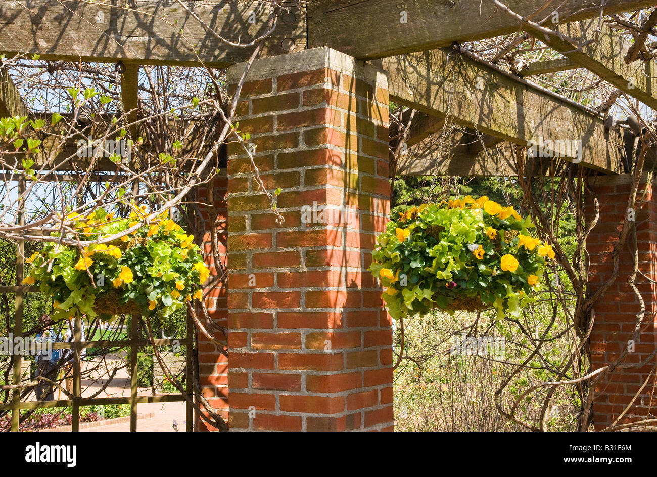 Hanging baskets garden hi-res stock photography and images - Alamy